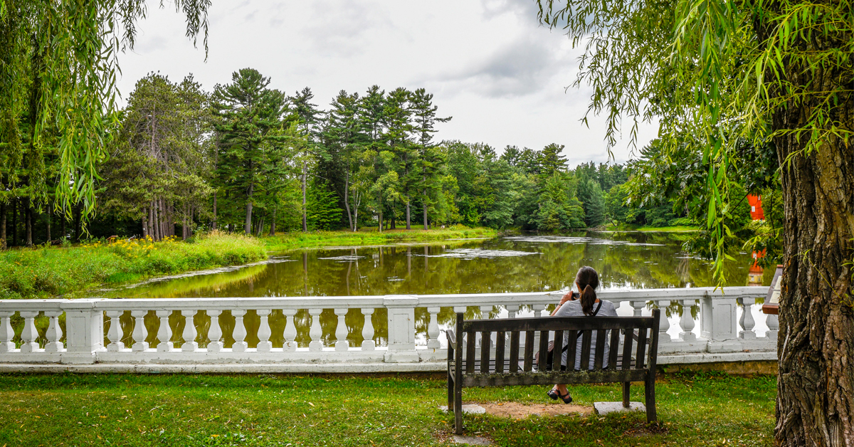 Forestia : ces 7 km de sentiers méconnus sont un bijou pour la rando à ...